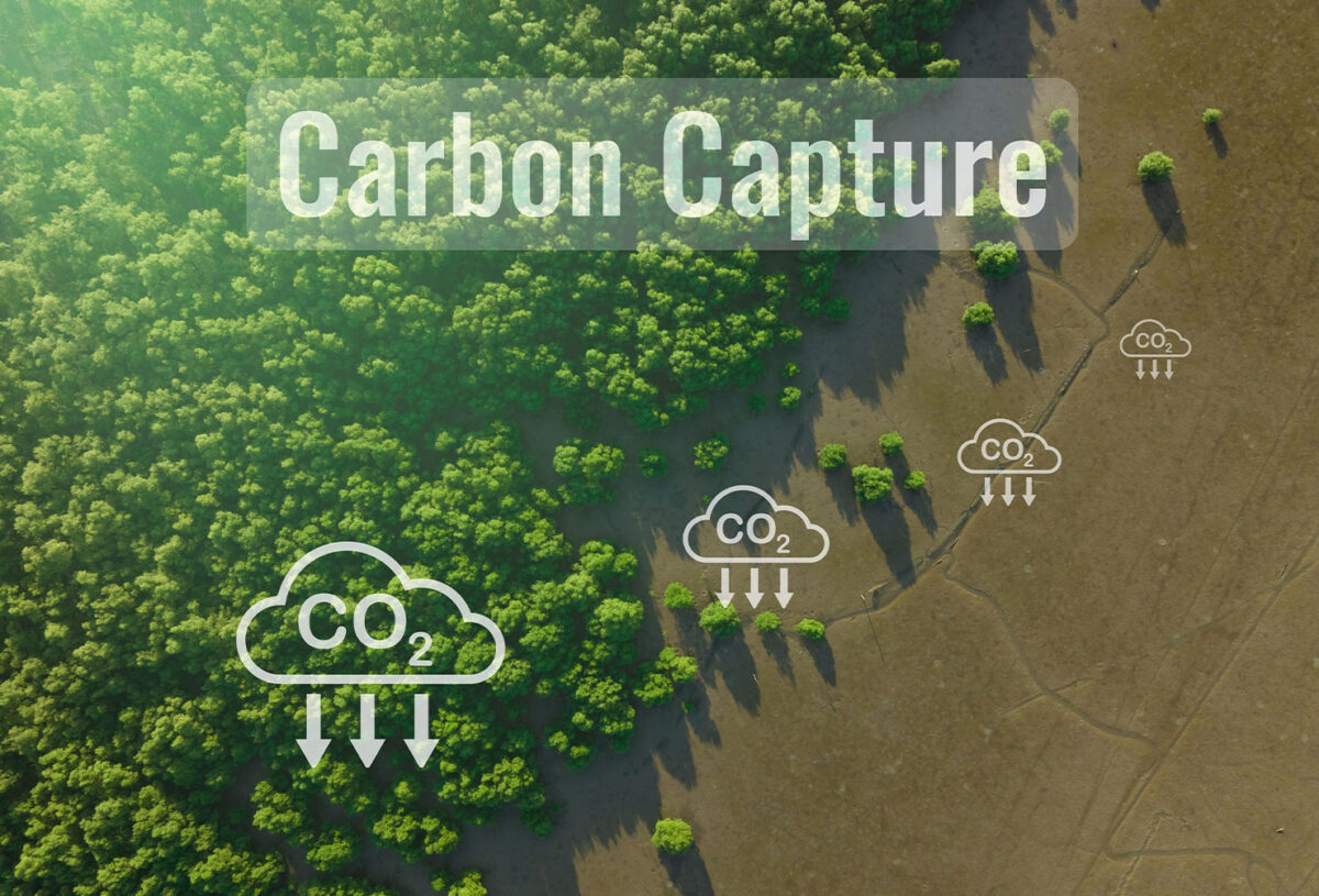 Carbon Capture and Storage (CCS) Developments in Australia: What It ...